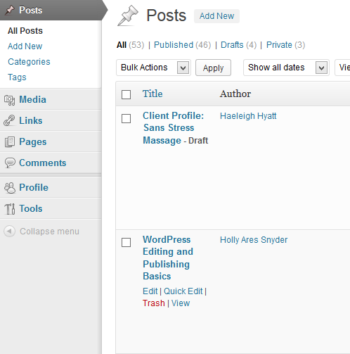 Wordpress Starter Guide: Editing & Publishing Content